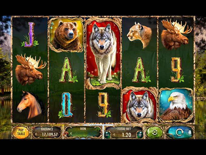 Play Wild Animals Video Slot from Red Rake Gaming for Free