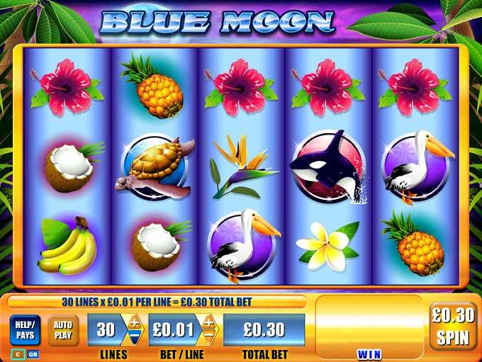 Play Blue Moon Video Slot from WMS for Free